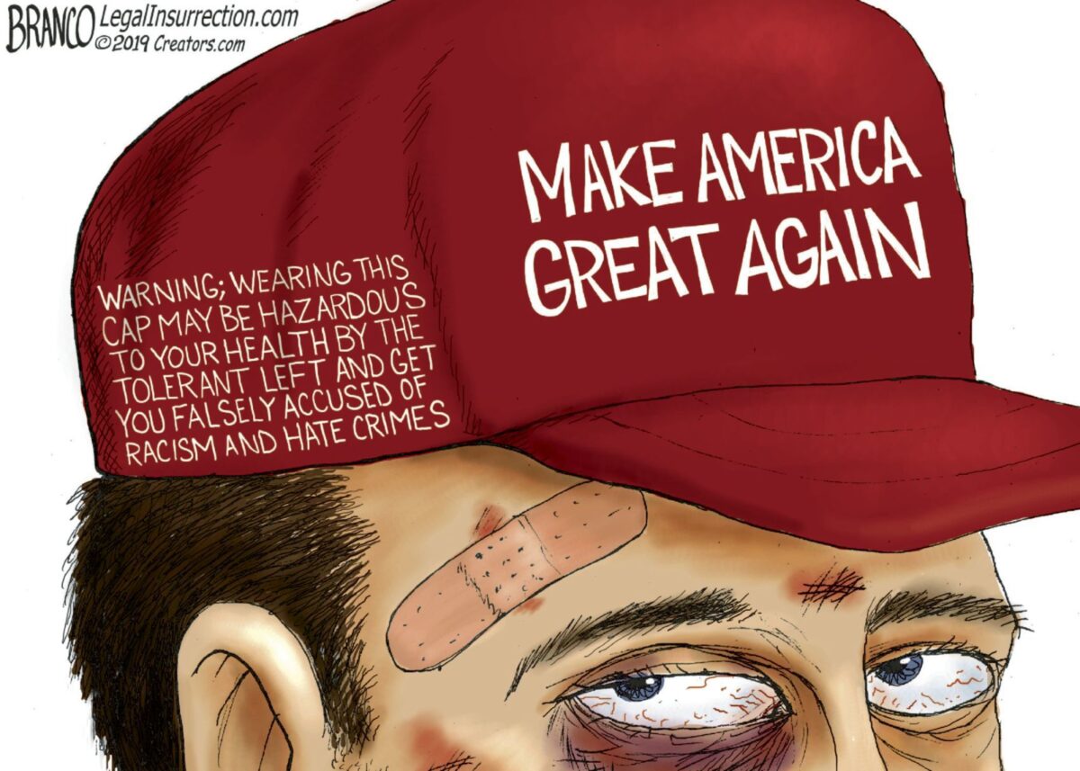 Cartoon: MAGA | News, Sports, Jobs - Daily Herald